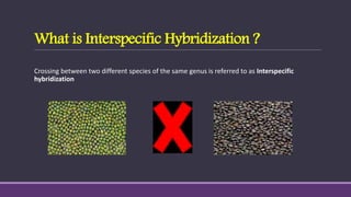 Interspecific hybridisation among vigna species | PPTX