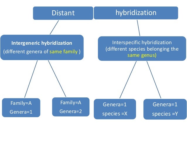 Inter specific hybridization to introduce useful genetic variability