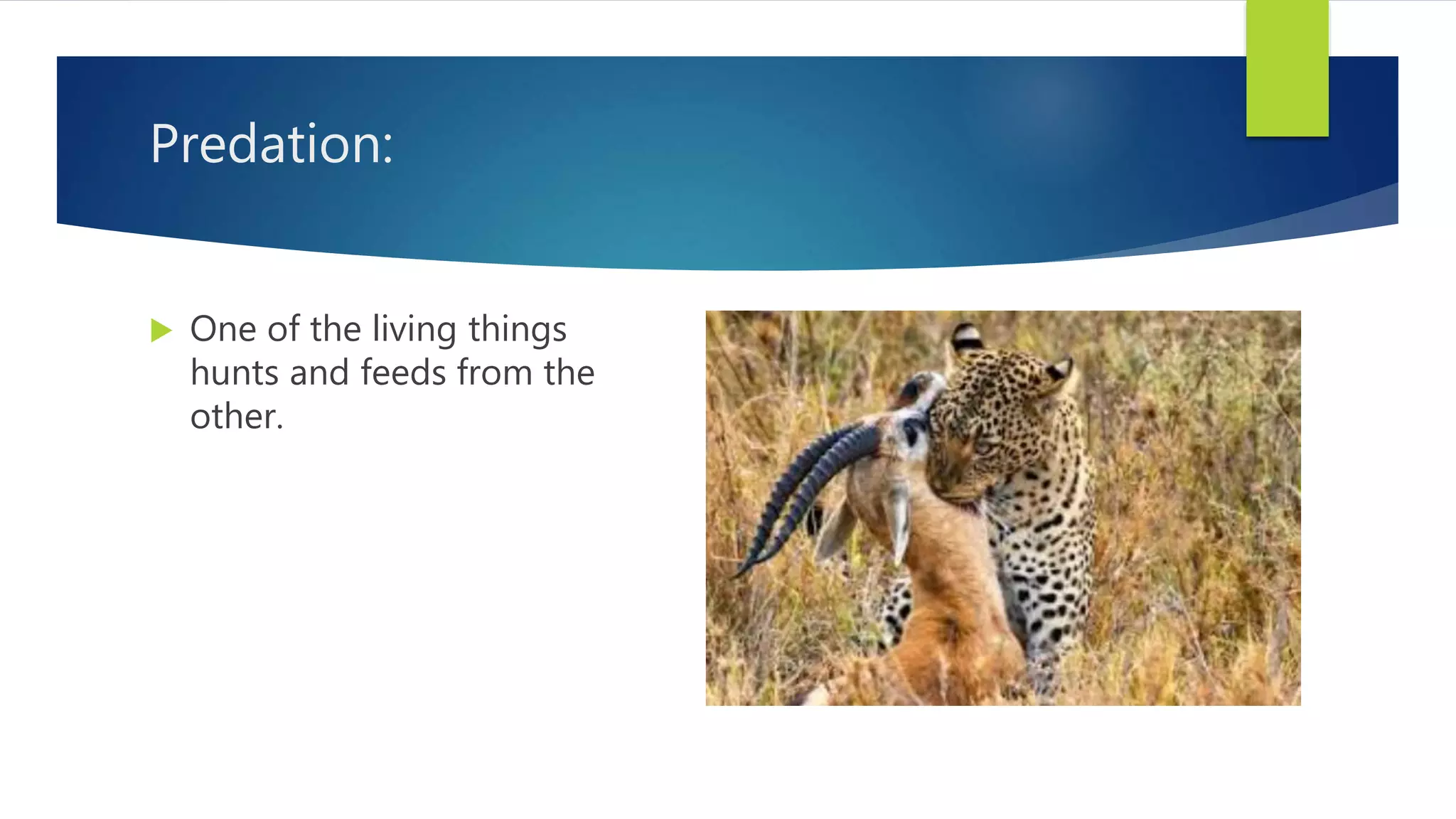 Interspecific relations | PPTX