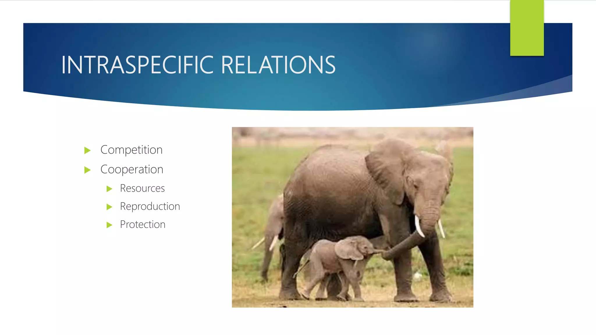 Interspecific relations | PPTX