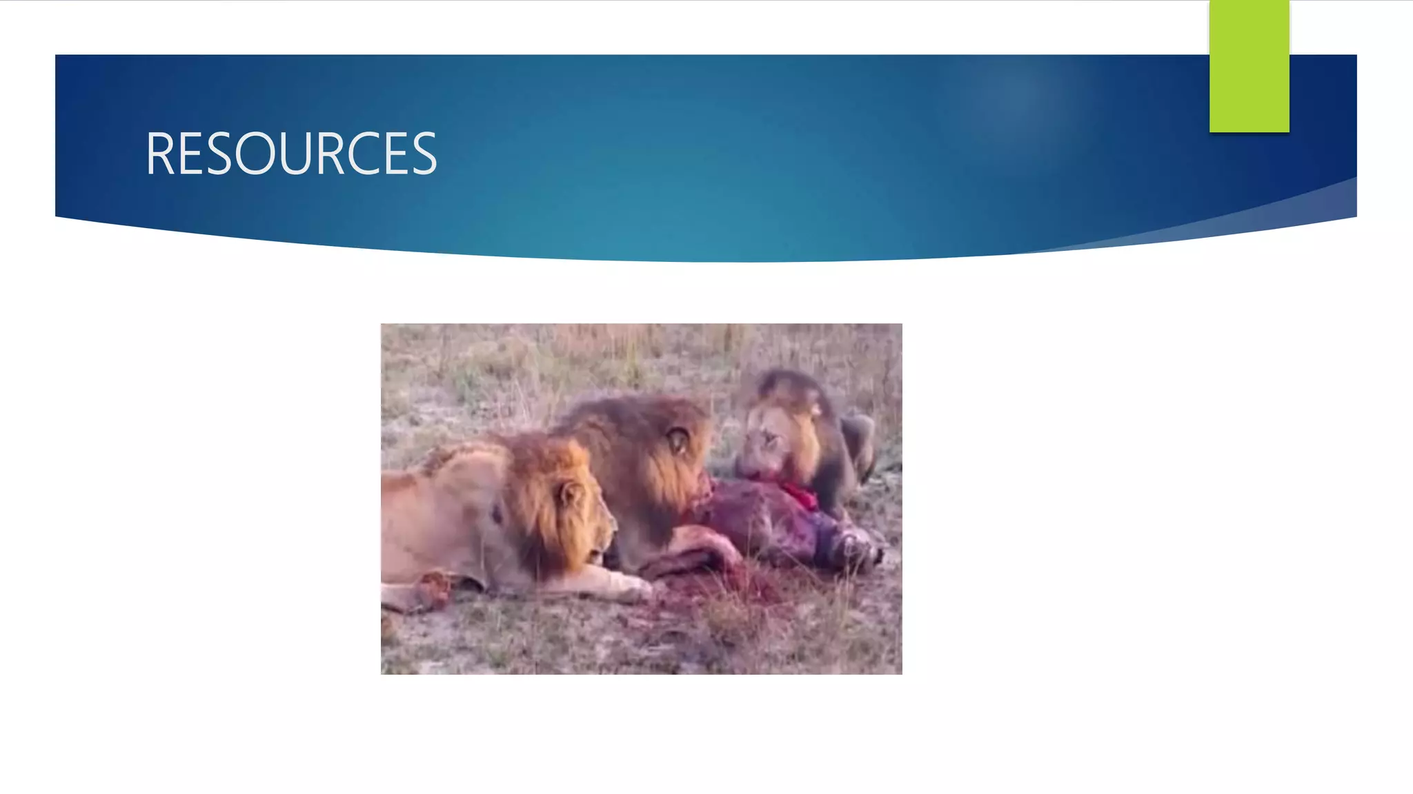 Interspecific relations | PPTX