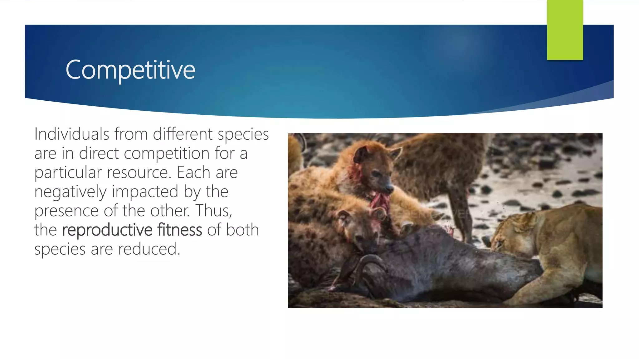 Interspecific relations | PPTX
