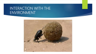 Interspecific relations | PPTX