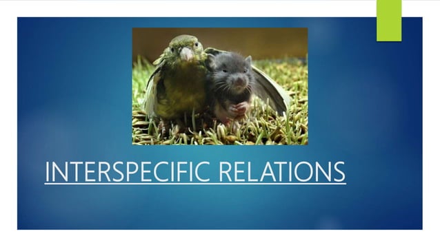 Interspecific relations | PPTX | Biological Sciences | Science