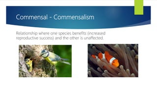 Interspecific relations | PPT
