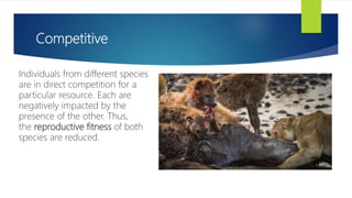 Interspecific relations | PPT