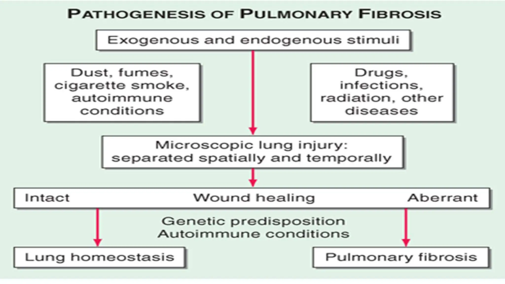 interstial lung deases.pptx | Lung and Respiratory Health | Diseases and Conditions