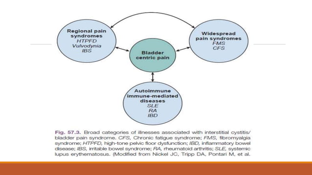 interstital cystitis bladder pain syndrome etiology and diagnosis.pptx ...