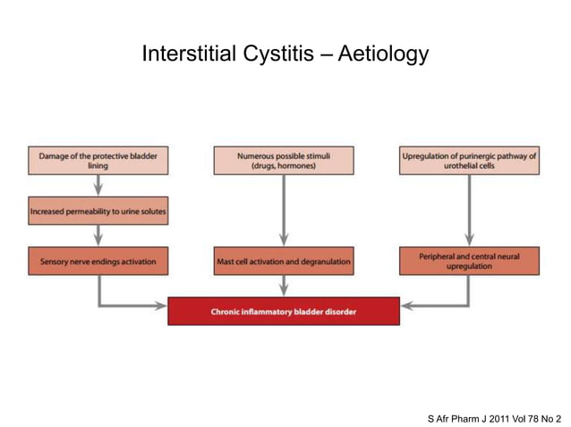 Interstitial cystitis | PPTX