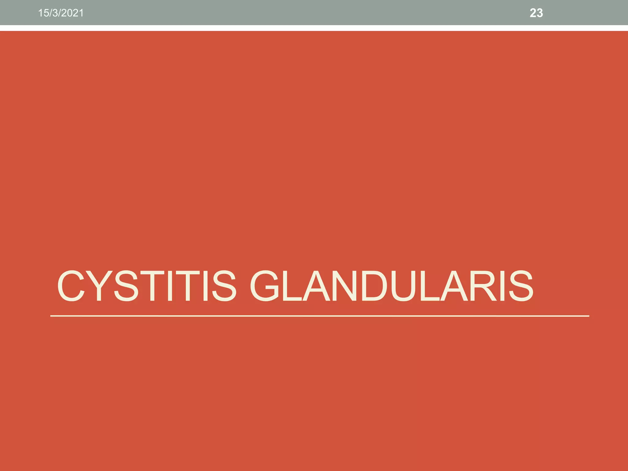 Interstitial cystitis and Cystitis gandularis Finale.pptx | Diseases and Conditions | Medical Health