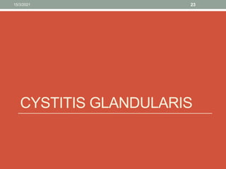 Interstitial cystitis and Cystitis gandularis Finale.pptx