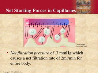 Interstitial fluid formation and edema by dr. mudassar ali roomi | PPT