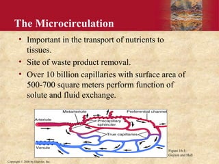 Interstitial fluid formation and edema by dr. mudassar ali roomi | PPT