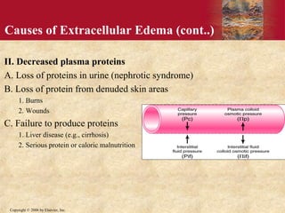 Interstitial fluid formation and edema by dr. mudassar ali roomi | PPT