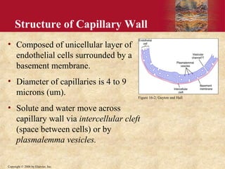 Interstitial fluid formation and edema by dr. mudassar ali roomi | PPT