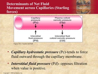 Interstitial fluid formation and edema by dr. mudassar ali roomi | PPT