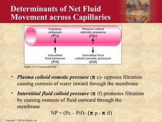 Interstitial fluid formation and edema by dr. mudassar ali roomi | PPT