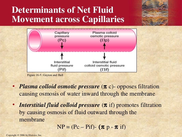 Interstitial Fluid Formation And Edema By Dr Mudassar Ali Roomi