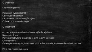 Disciform Keratitis Vs Interstitial Keratitis