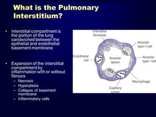 Lung Parenchyma And Interstitium