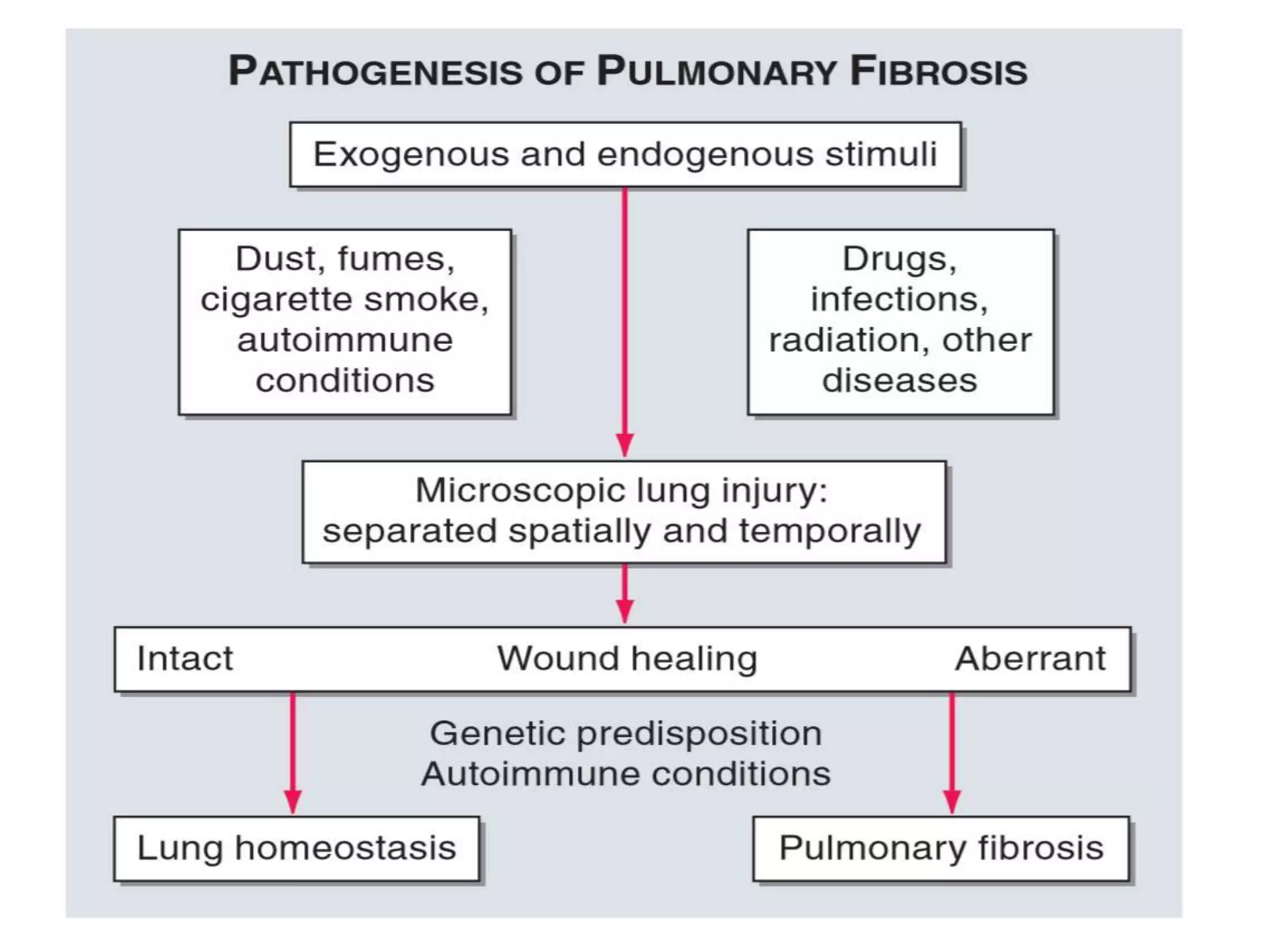 Interstitial Lung Diseases [ILD] Approach to Management | PPTX