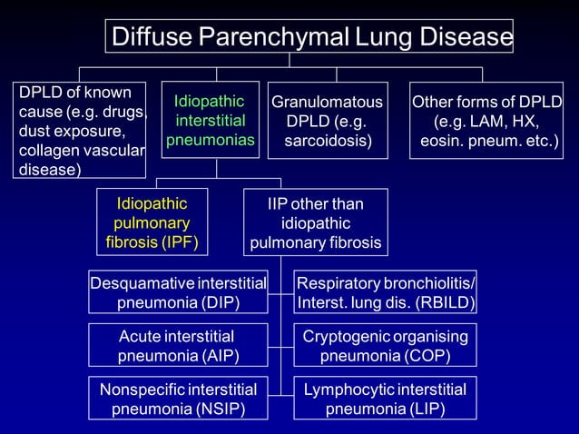 Diffuse parenchymal lung diseases (Postgraduate course) | PDF | Lung ...
