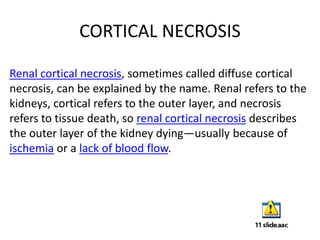 INTERSTITIAL NEPHRITIS AND CORTICAL NECROSIS.pptx