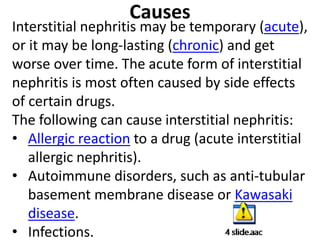 INTERSTITIAL NEPHRITIS AND CORTICAL NECROSIS.pptx