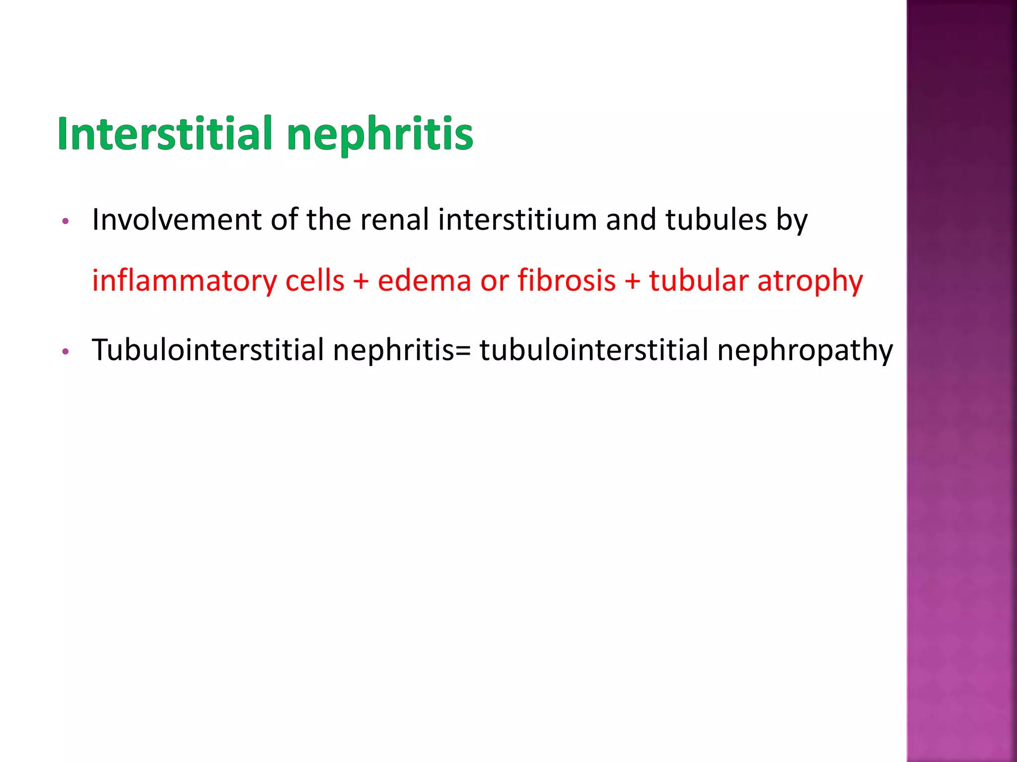 Interstitial nephritis, pyelonephritis and other renal infections | PPTX