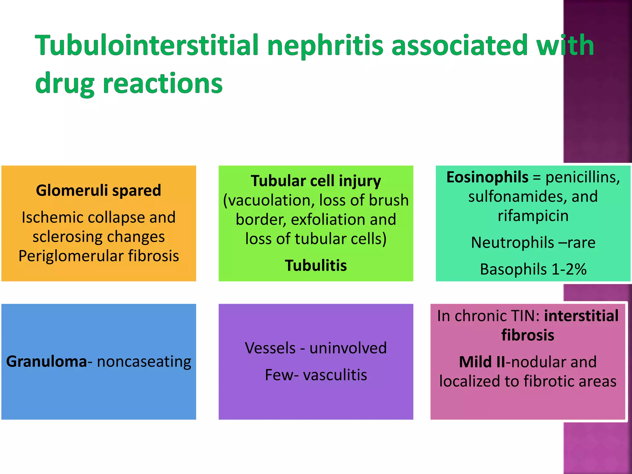 Interstitial nephritis, pyelonephritis and other renal infections | PPTX