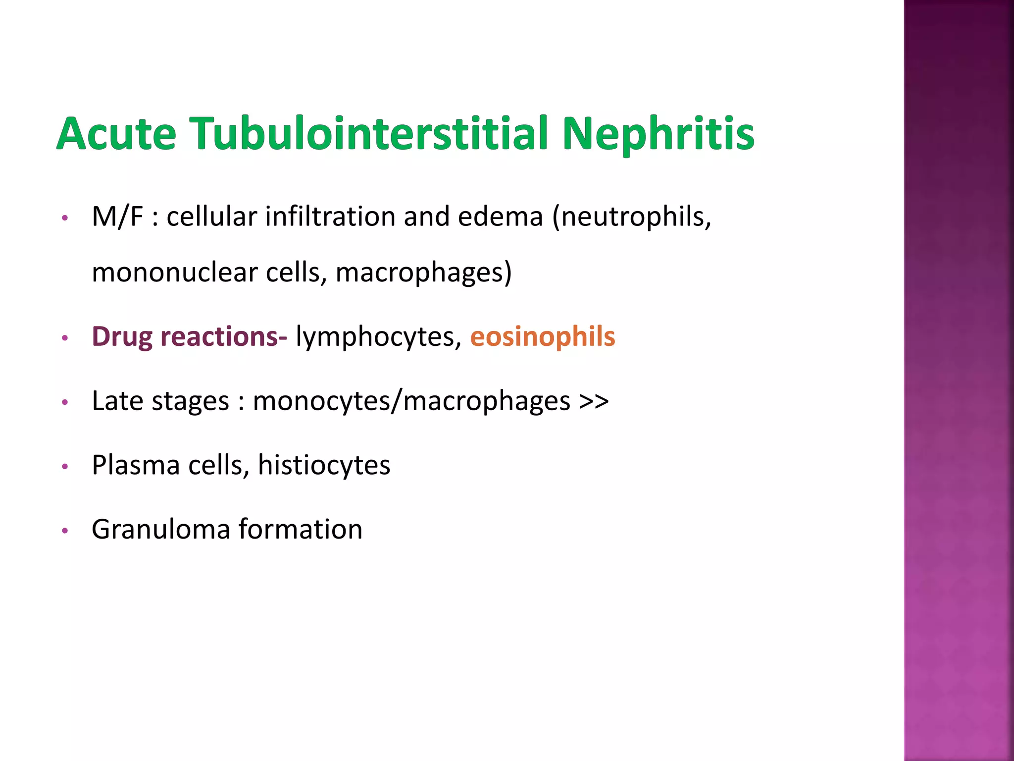 Interstitial nephritis, pyelonephritis and other renal infections | PPTX