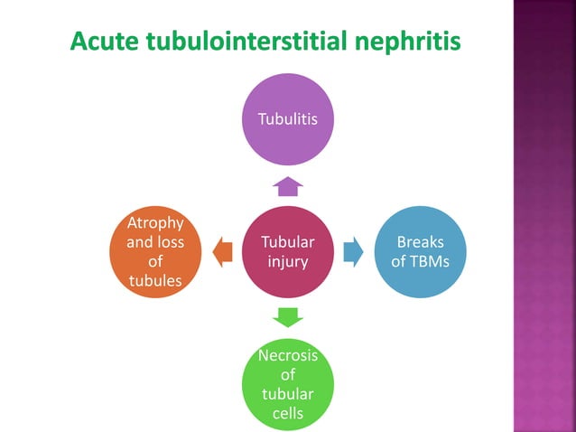 Interstitial nephritis, pyelonephritis and other renal infections | PPT