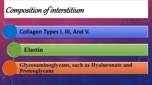 Interstitium | PPTX