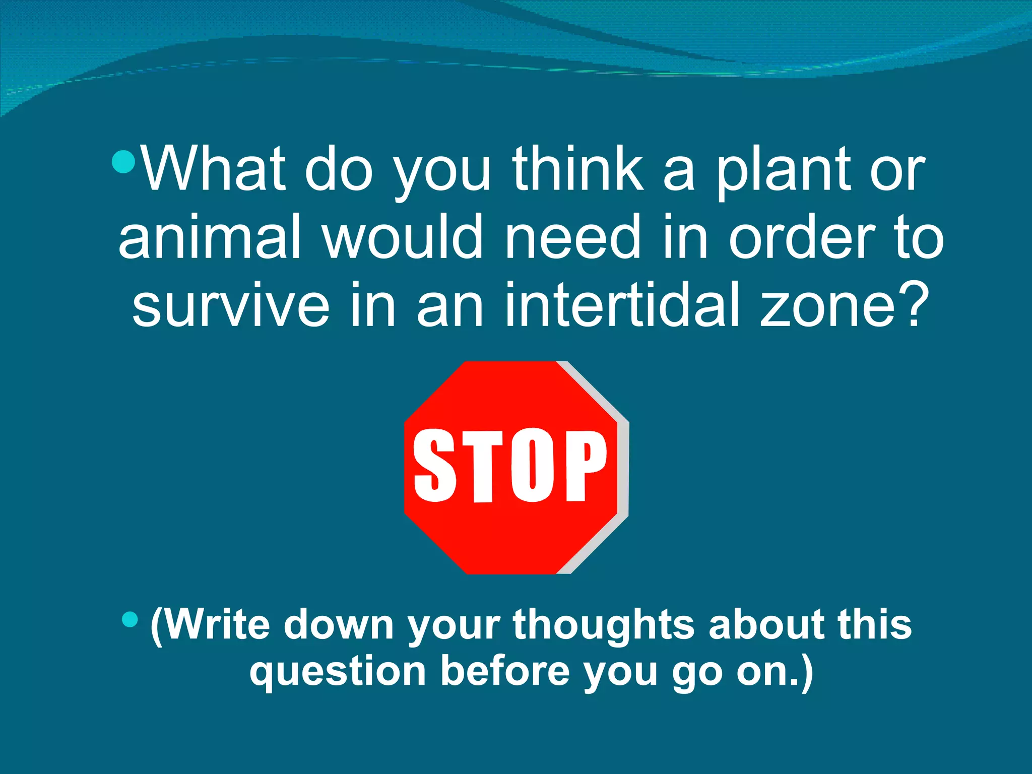 Intertidal Zones | PPT