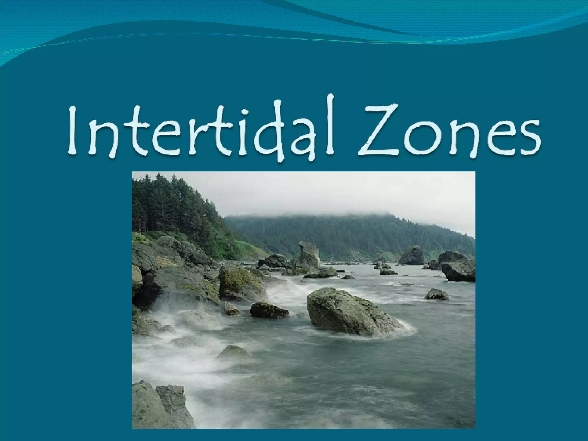 Intertidal Zones | PPT