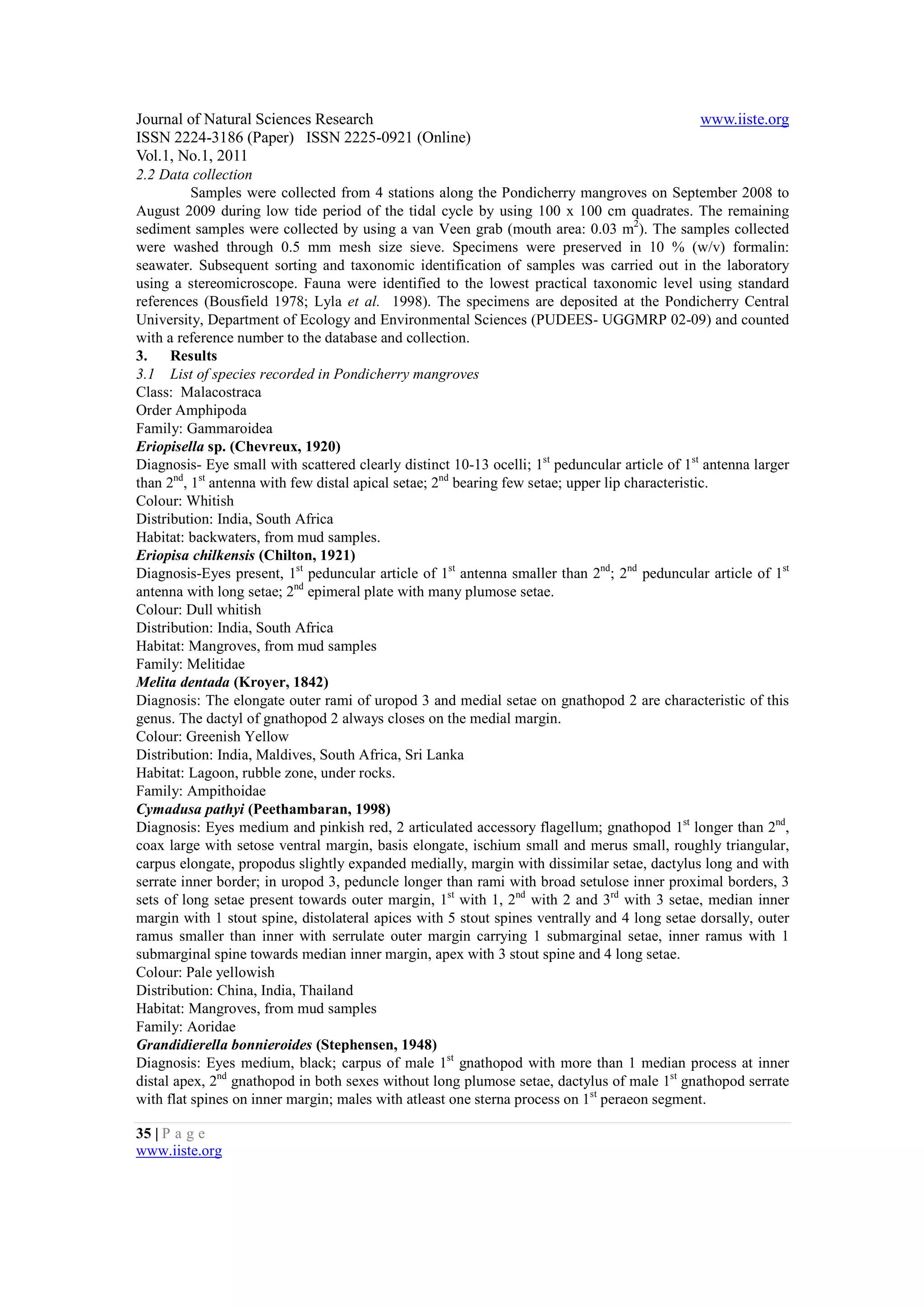 Intertidal amphipods crustacea amphipoda from pondicherry mangroves ...