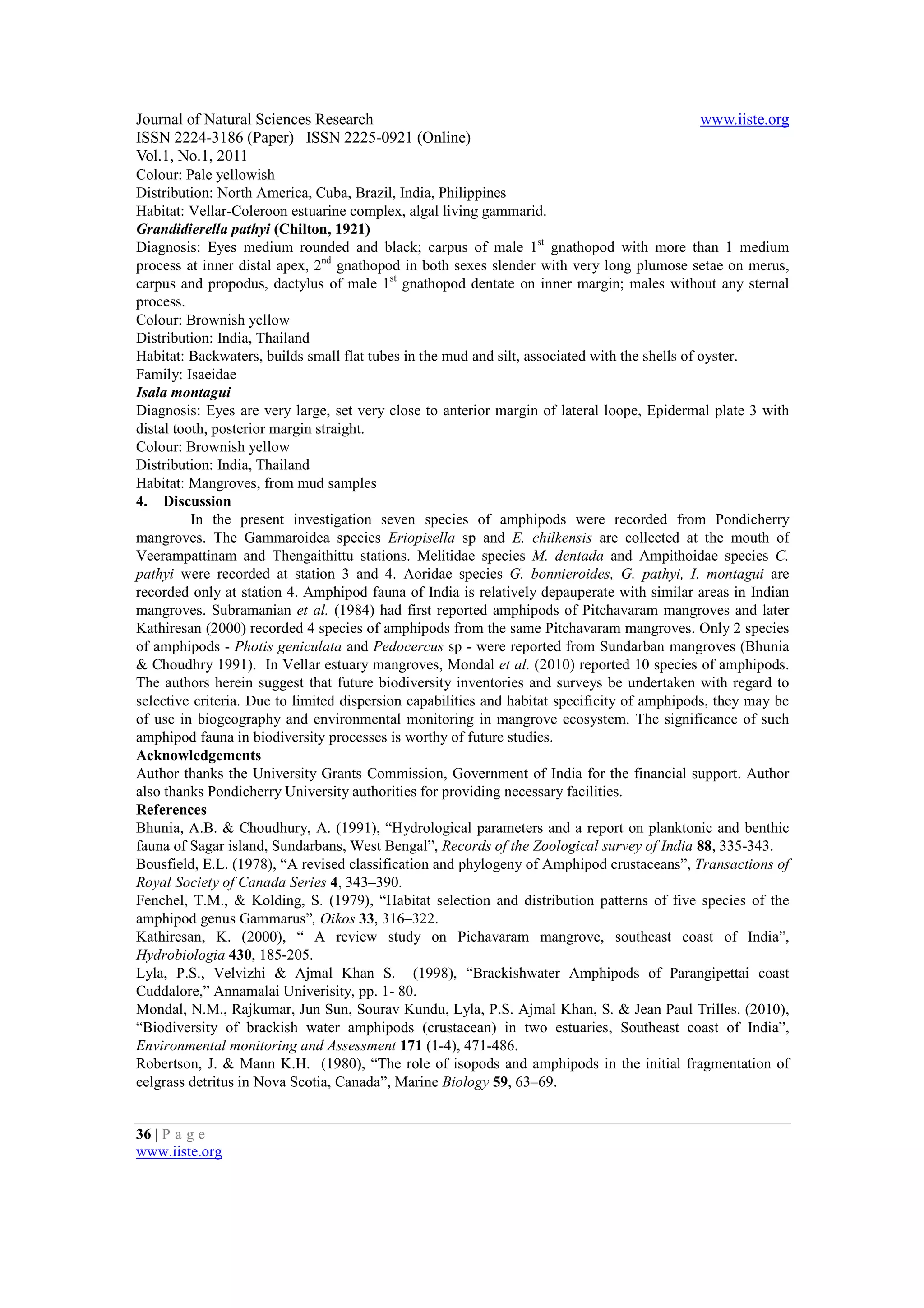 Intertidal amphipods crustacea amphipoda from pondicherry mangroves ...