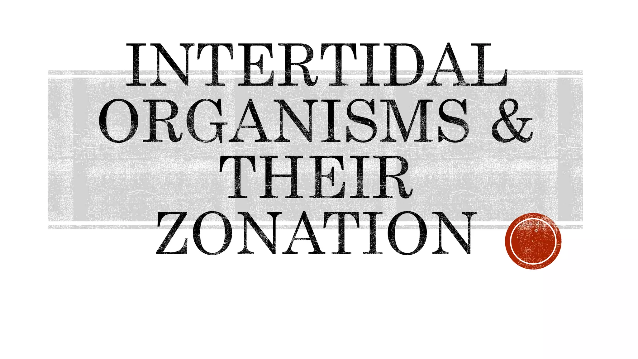 Intertidal organisms and their zonation, M. Sc. Zoology, University of ...
