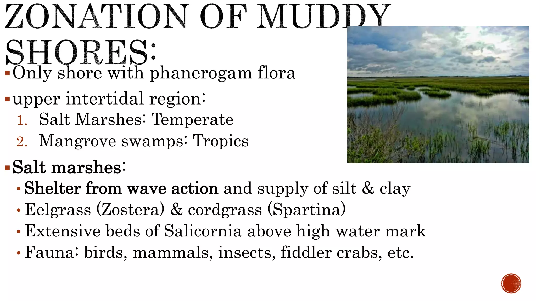 Intertidal organisms and their zonation, M. Sc. Zoology, University of ...