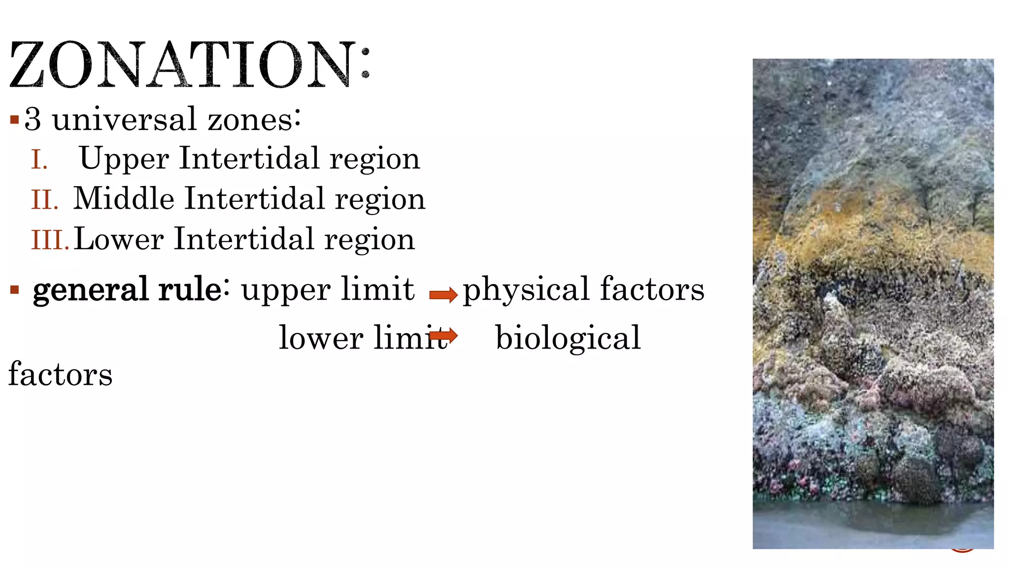 Intertidal organisms and their zonation, M. Sc. Zoology, University of ...
