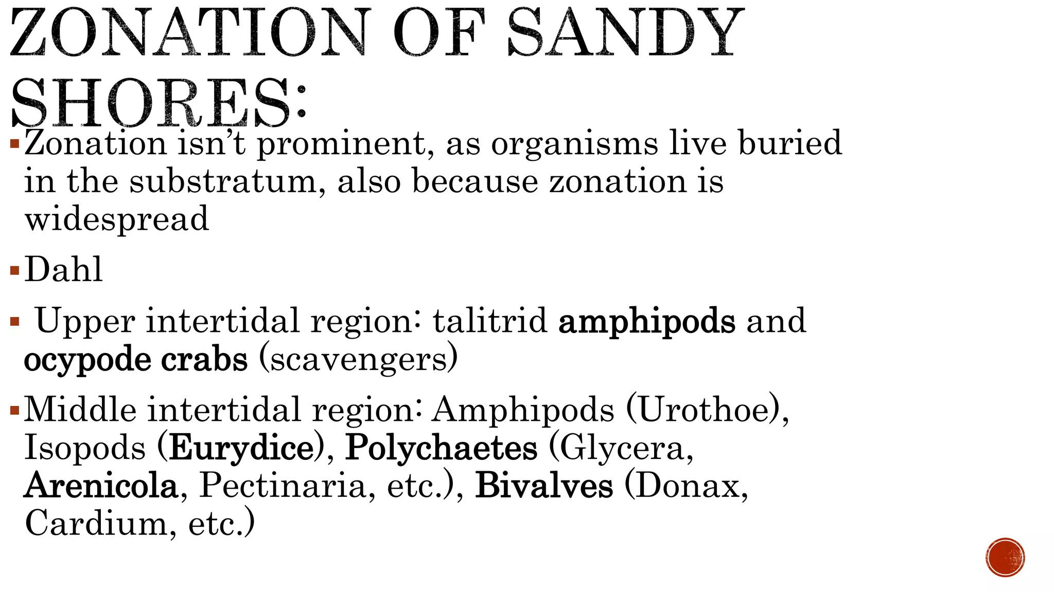 Intertidal organisms and their zonation, M. Sc. Zoology, University of ...
