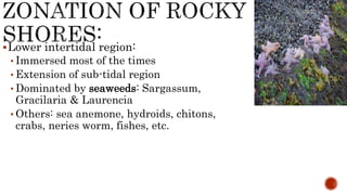 Intertidal organisms and their zonation, M. Sc. Zoology, University of ...