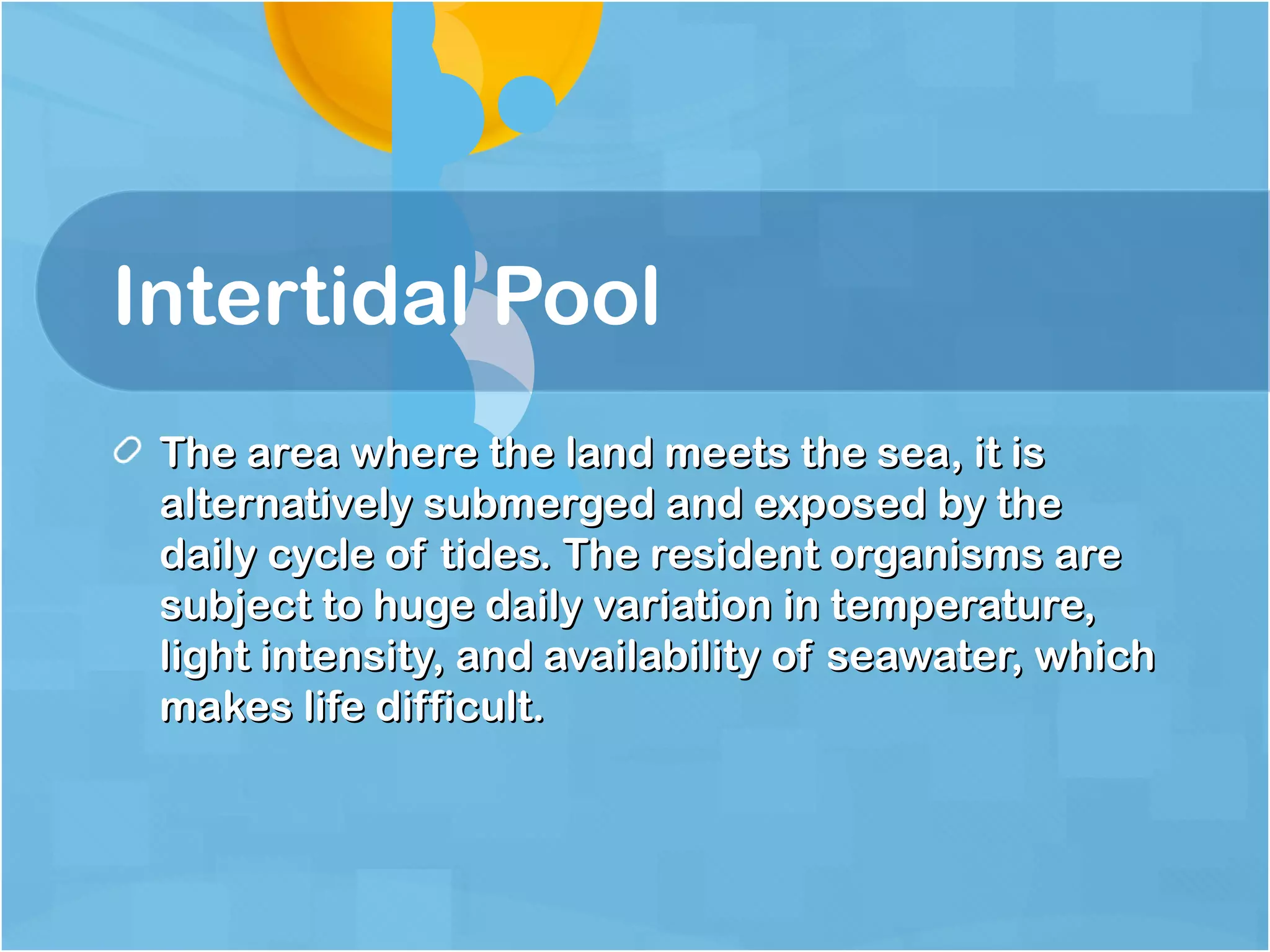Intertidal powerpoint (compatibility copy) | PPT