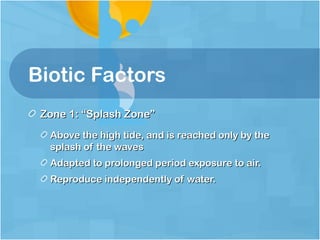 Intertidal powerpoint (compatibility copy) | PPT