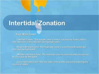 Intertidal powerpoint (compatibility copy) | PPT