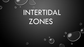 INTERTIDAL ZONES Science 5 3rd quarter.pptx