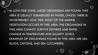 INTERTIDAL ZONES Science 5 3rd quarter.pptx