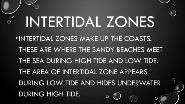 INTERTIDAL ZONES Science 5 3rd quarter.pptx