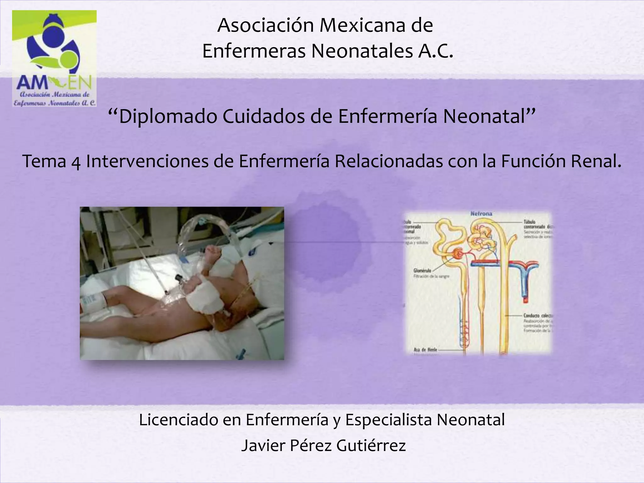 Intervenciones De Enfermeria Funcionamiento Renal Ppt