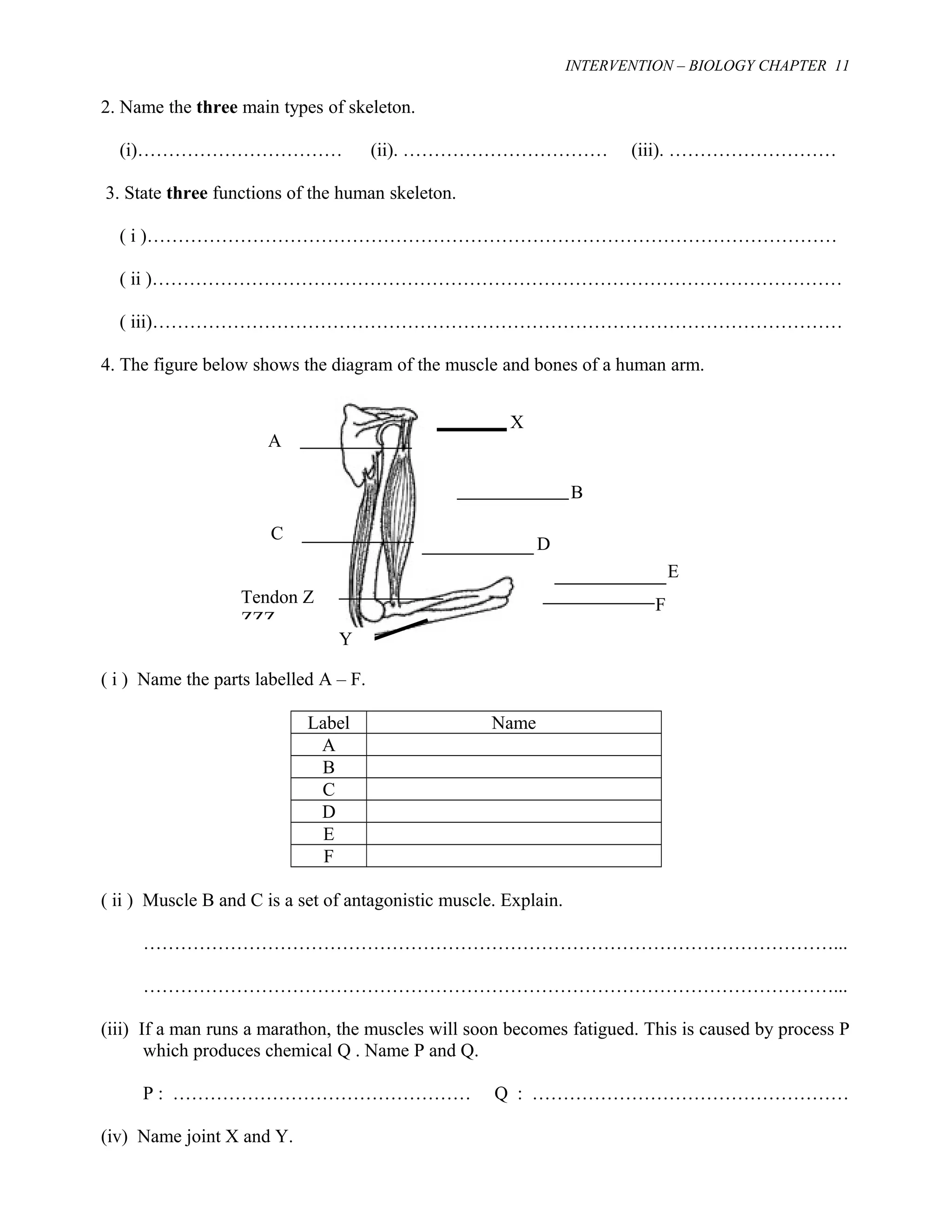 Intervensi biology Form 5 chapter 2 | PDF